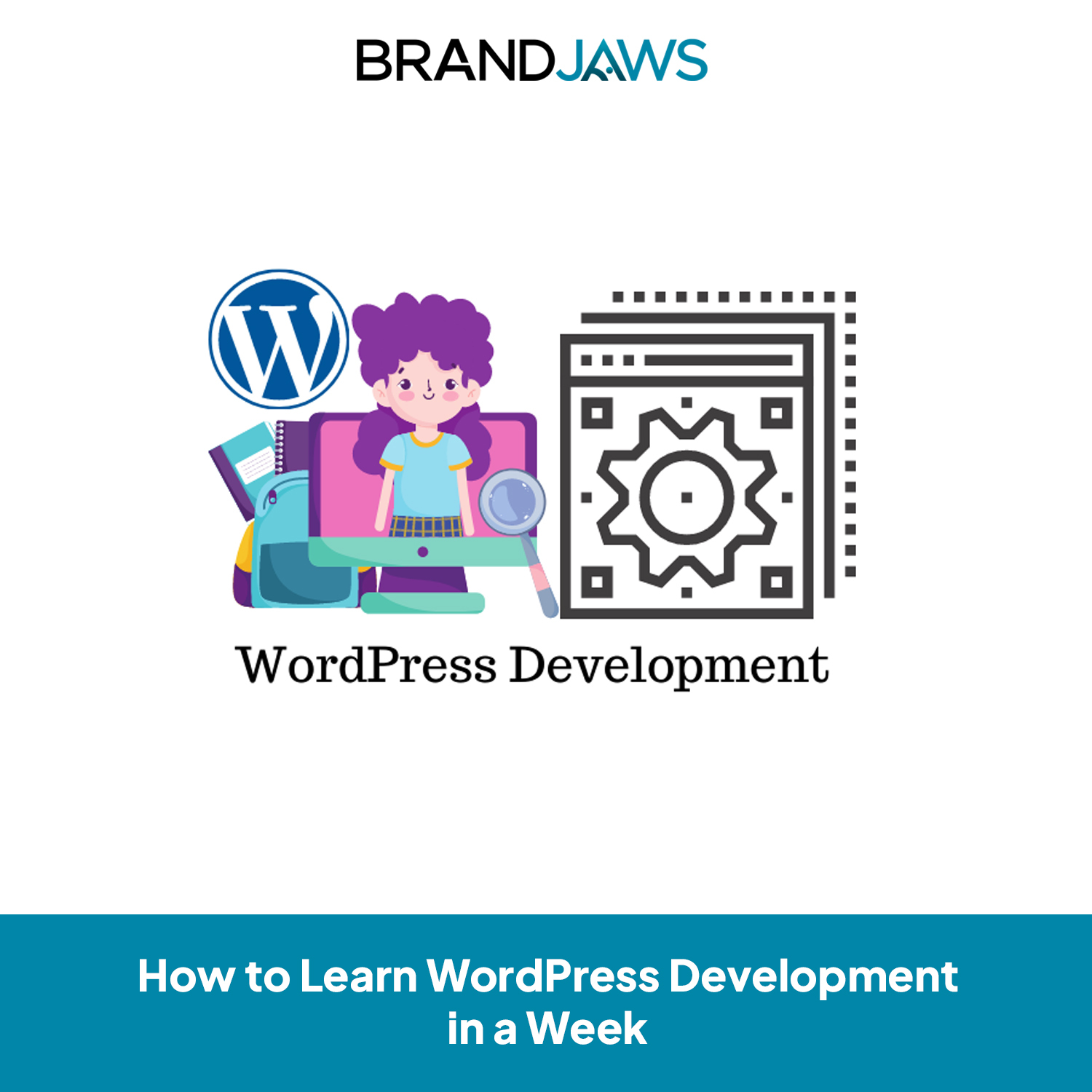 How to Learn WordPress Development in a Week - BrandJaws | Web design ...